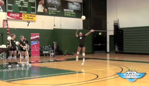 Scoring points in volleyball with the one-handed jump float - The Art ...
