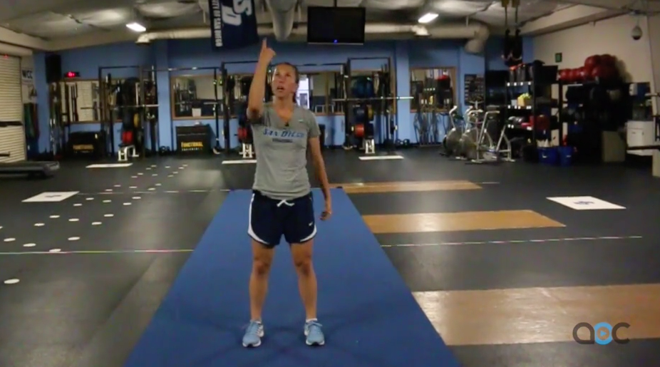 VERT: A useful tool for jump training - The Art of Coaching Volleyball