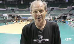 Q&a with elite D1 coaches